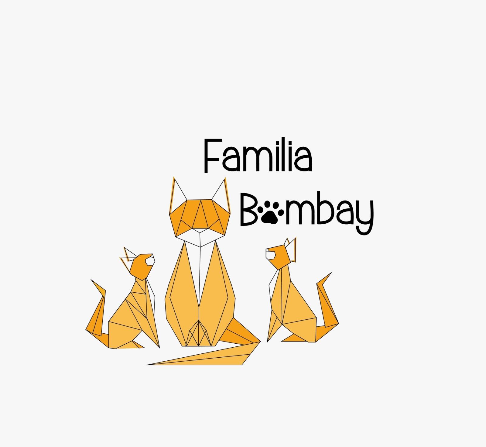 Cómo cuidar a un gato con leucemia (FeLV): guía práctica Familia Bombay